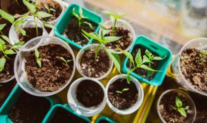 The Beach Is Back | JW3